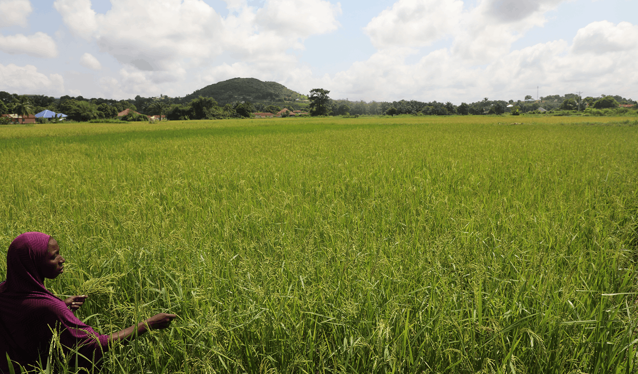 Home | Sierra Leone